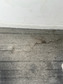 Hallway carpet. Wish you could smell this picture.