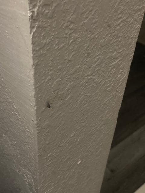 BOOGER ON THE WALL