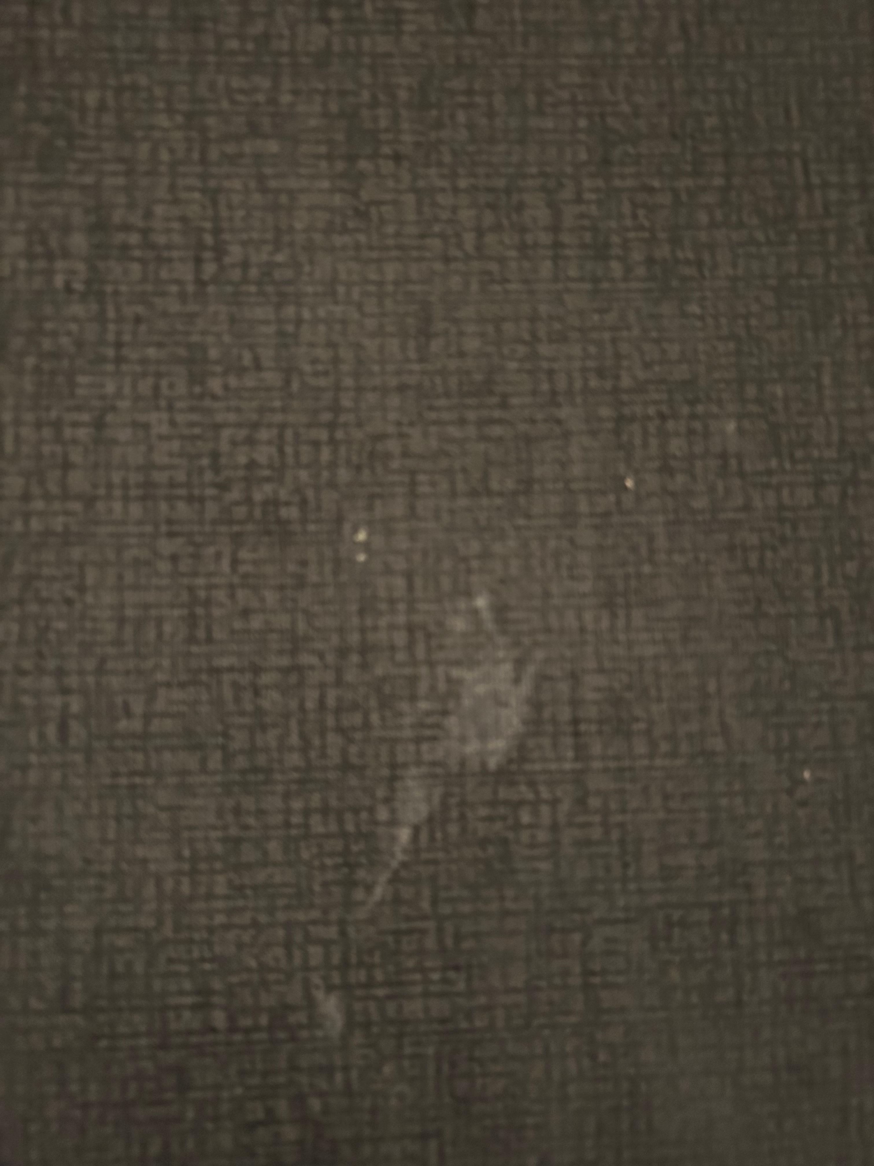 Semen all over the couch 