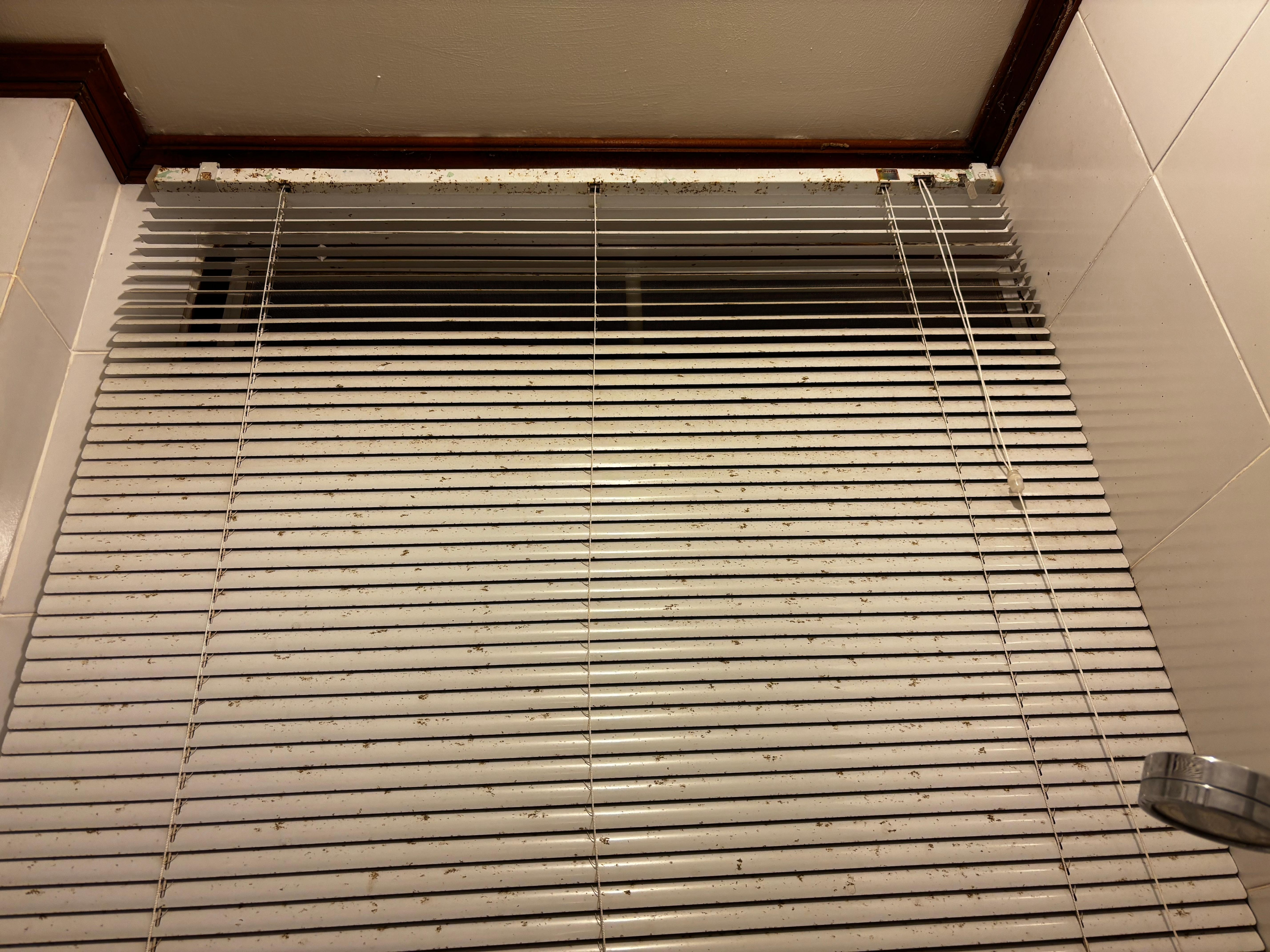 Ulækre persienner i brusekabinen