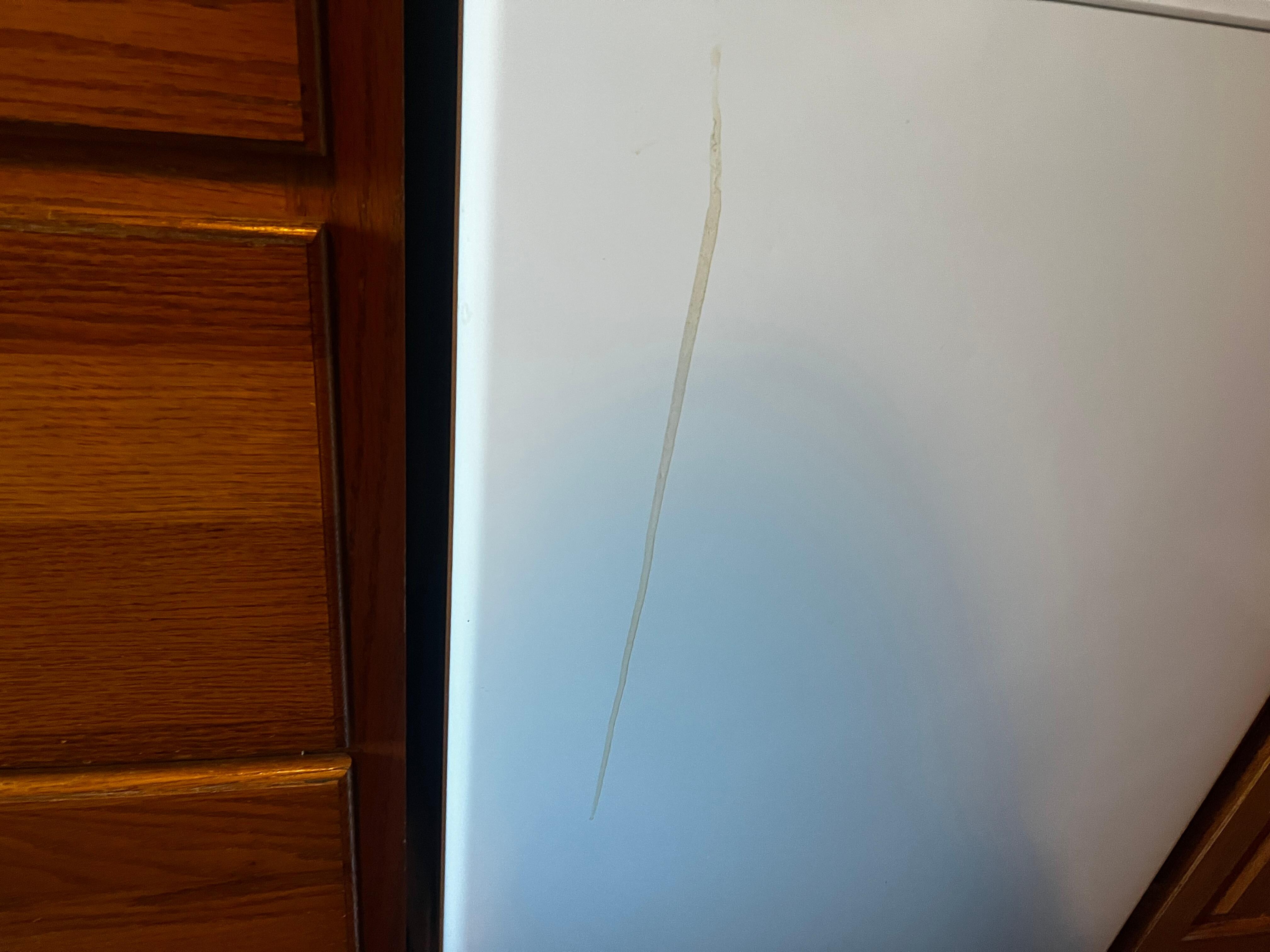 Oops they forgot to wipe down the refrigerator. And vacuum, and dust etc, etc. 