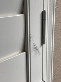 Someone’s hair left in the bathroom