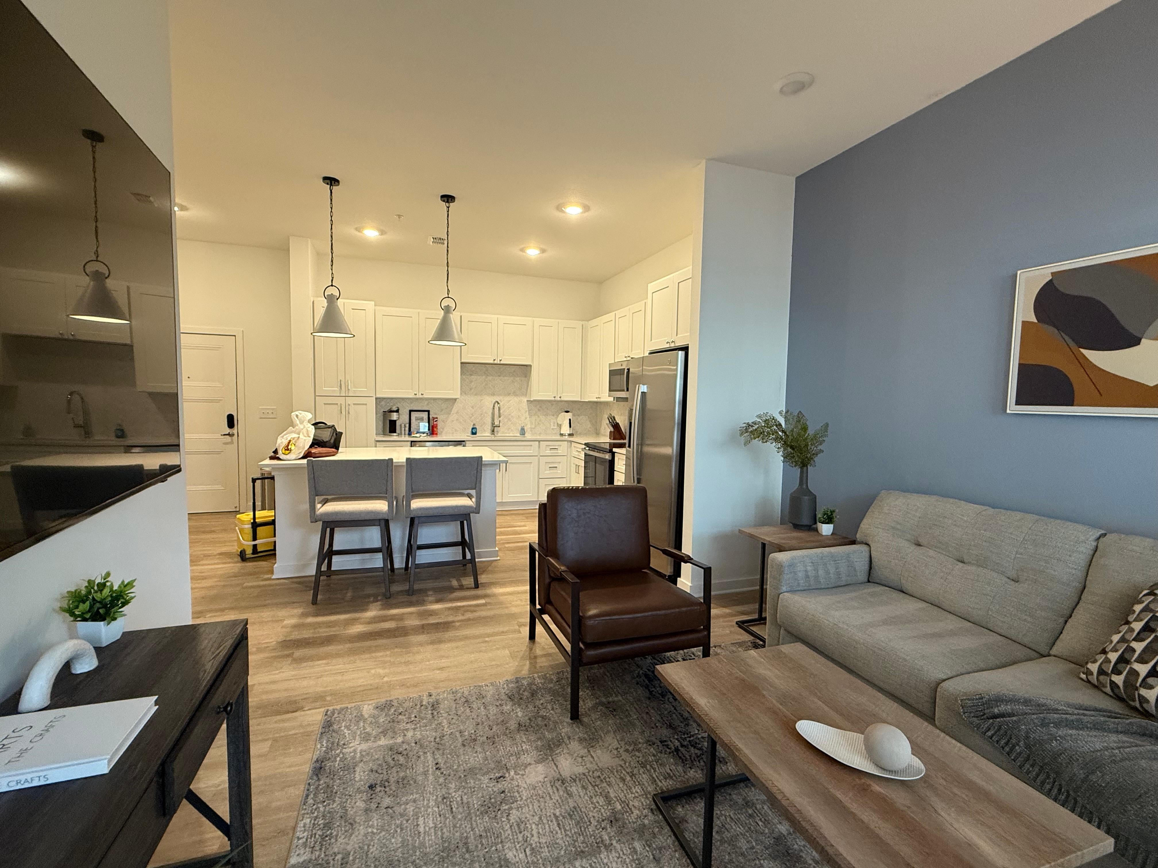 Living area  and kitchen 