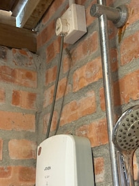 Lizard running around the washroom.There were other small insects in the room as well.