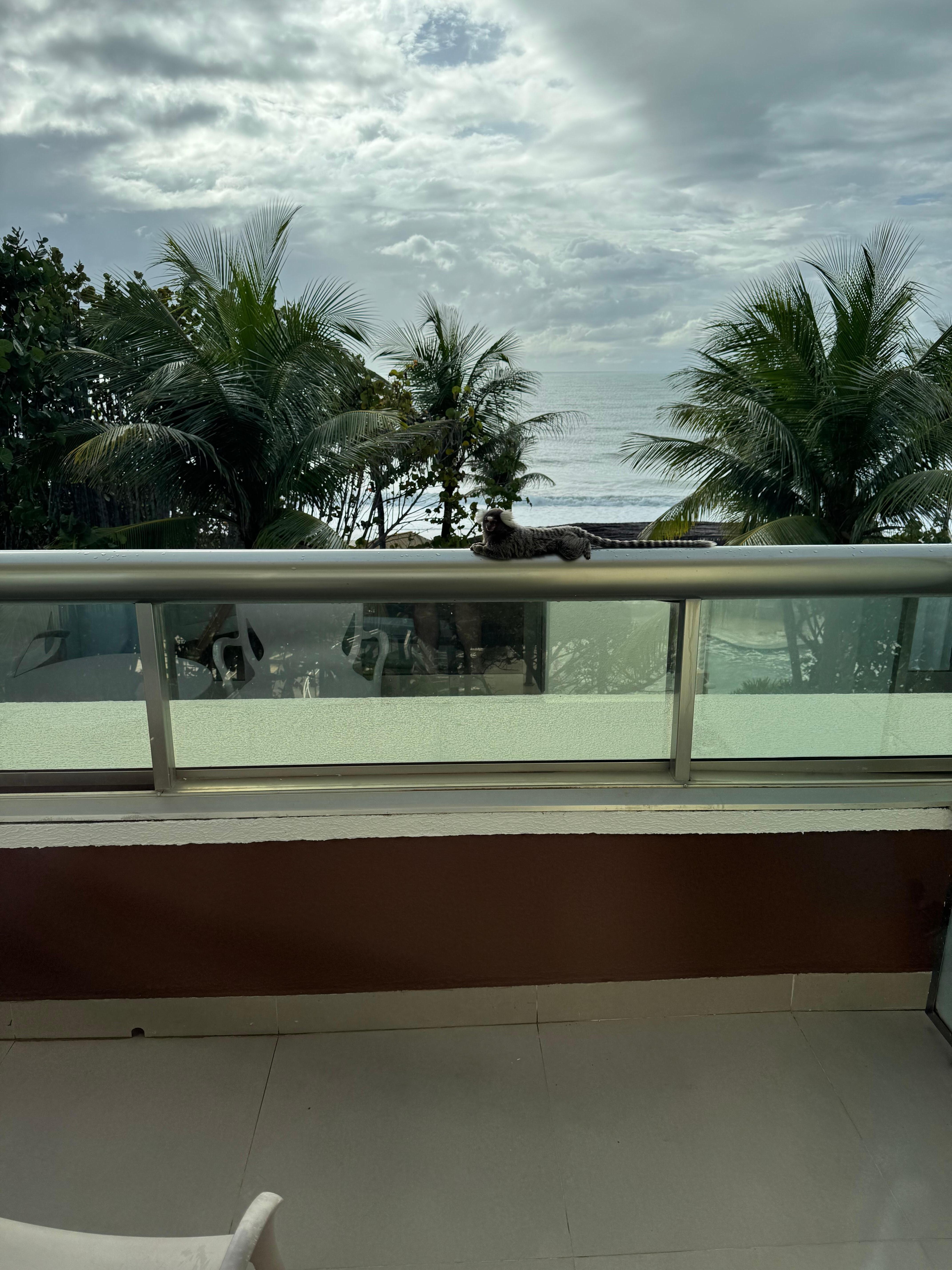 Foto do quarto vista para o mar 