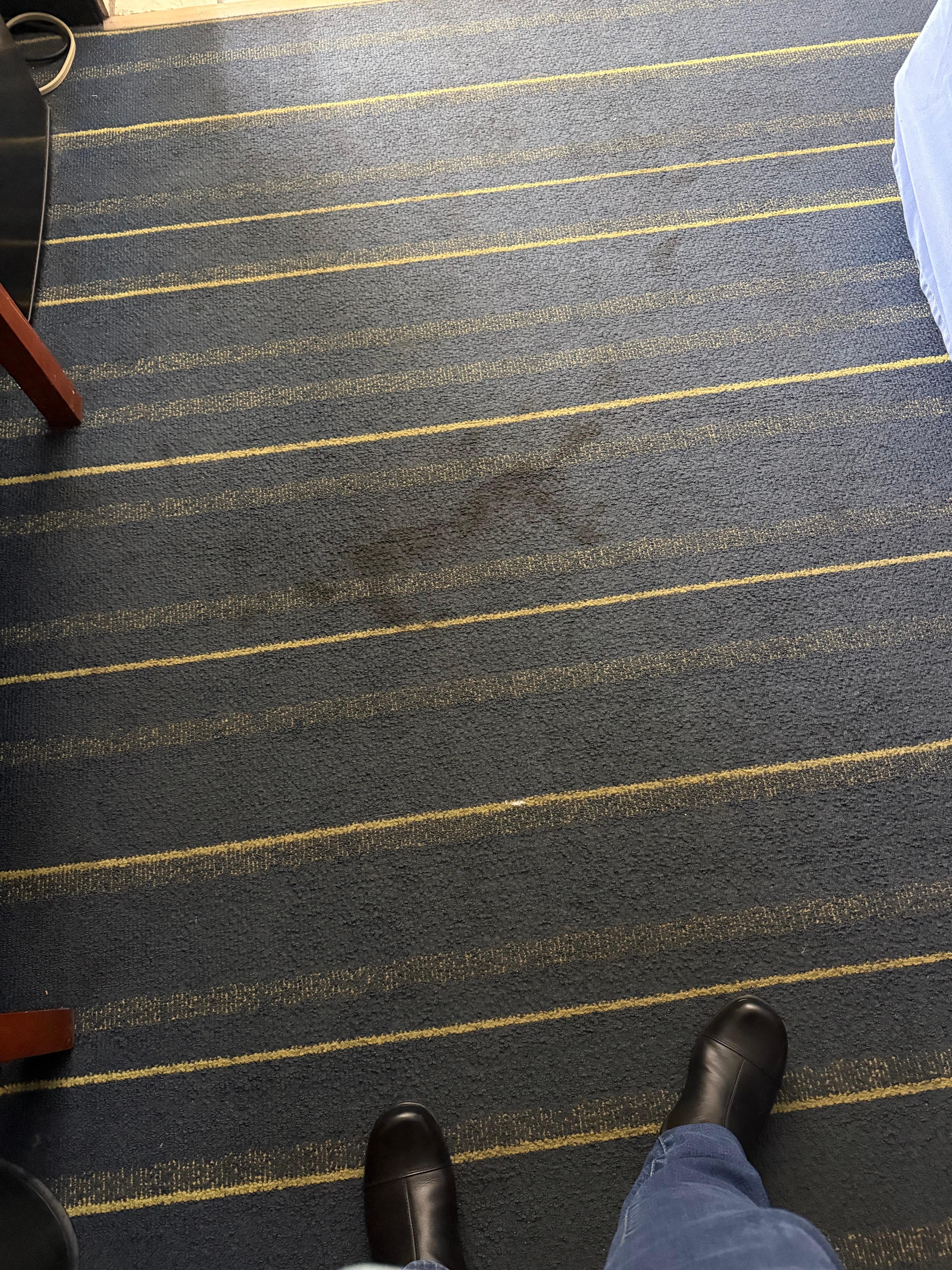 This is on the carpet