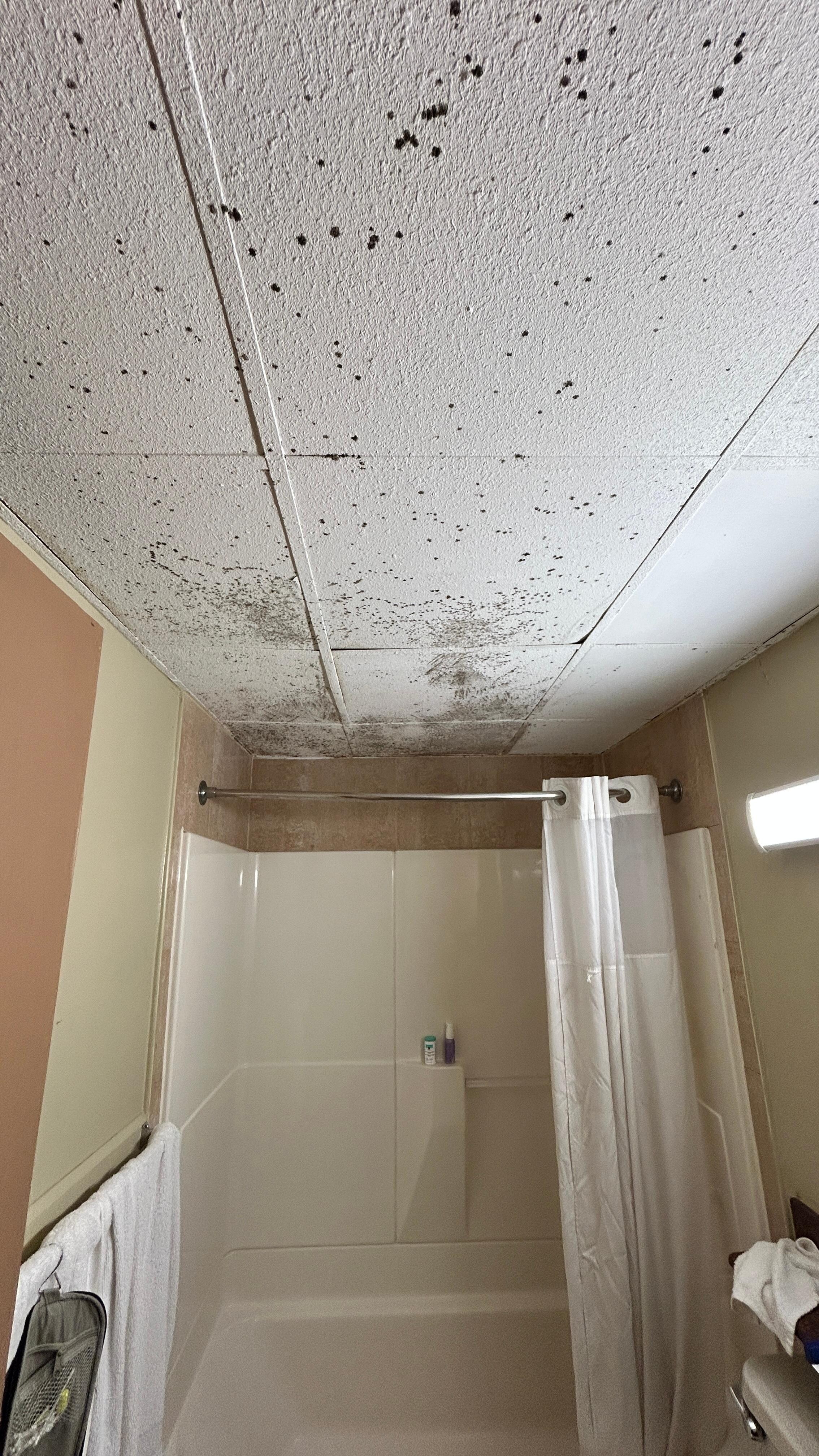 Plafond salle de bain 