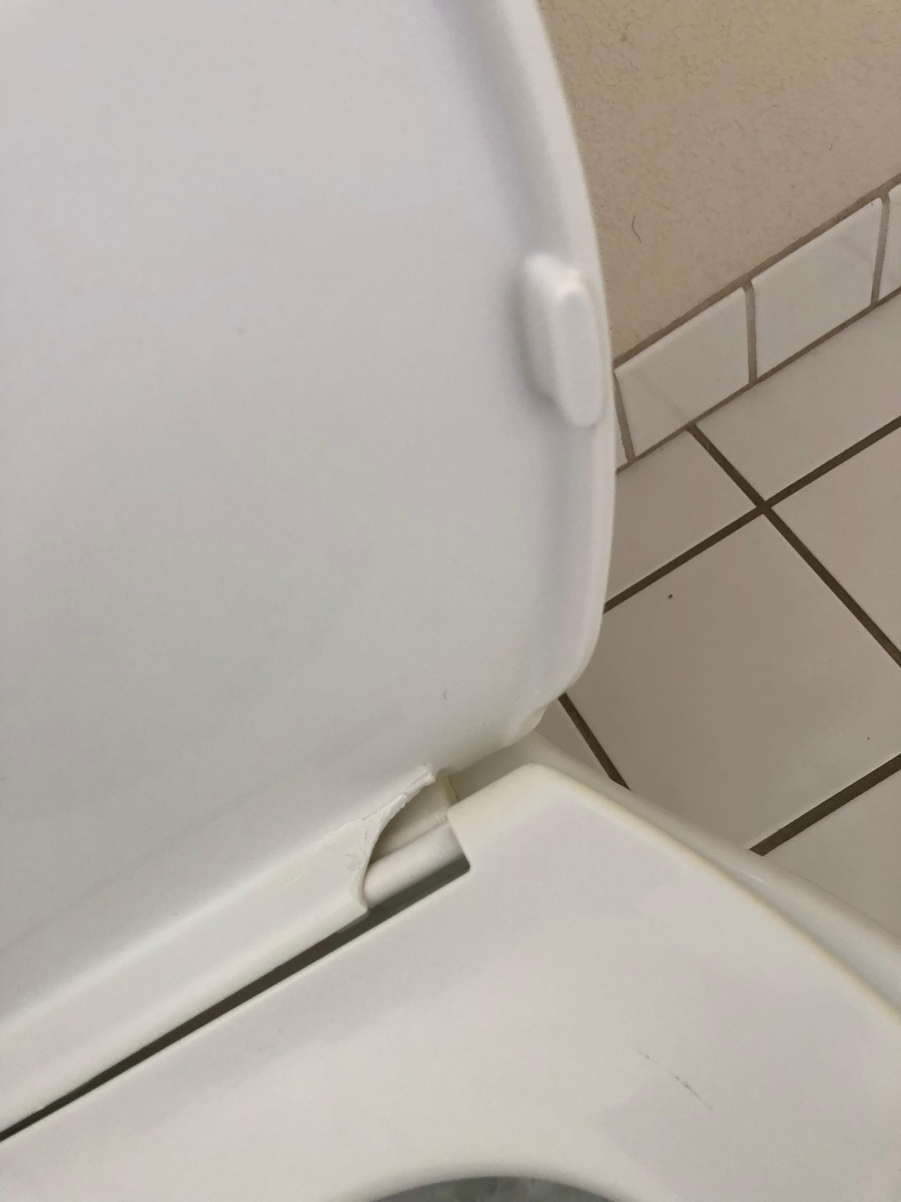 Broken toilet seat 