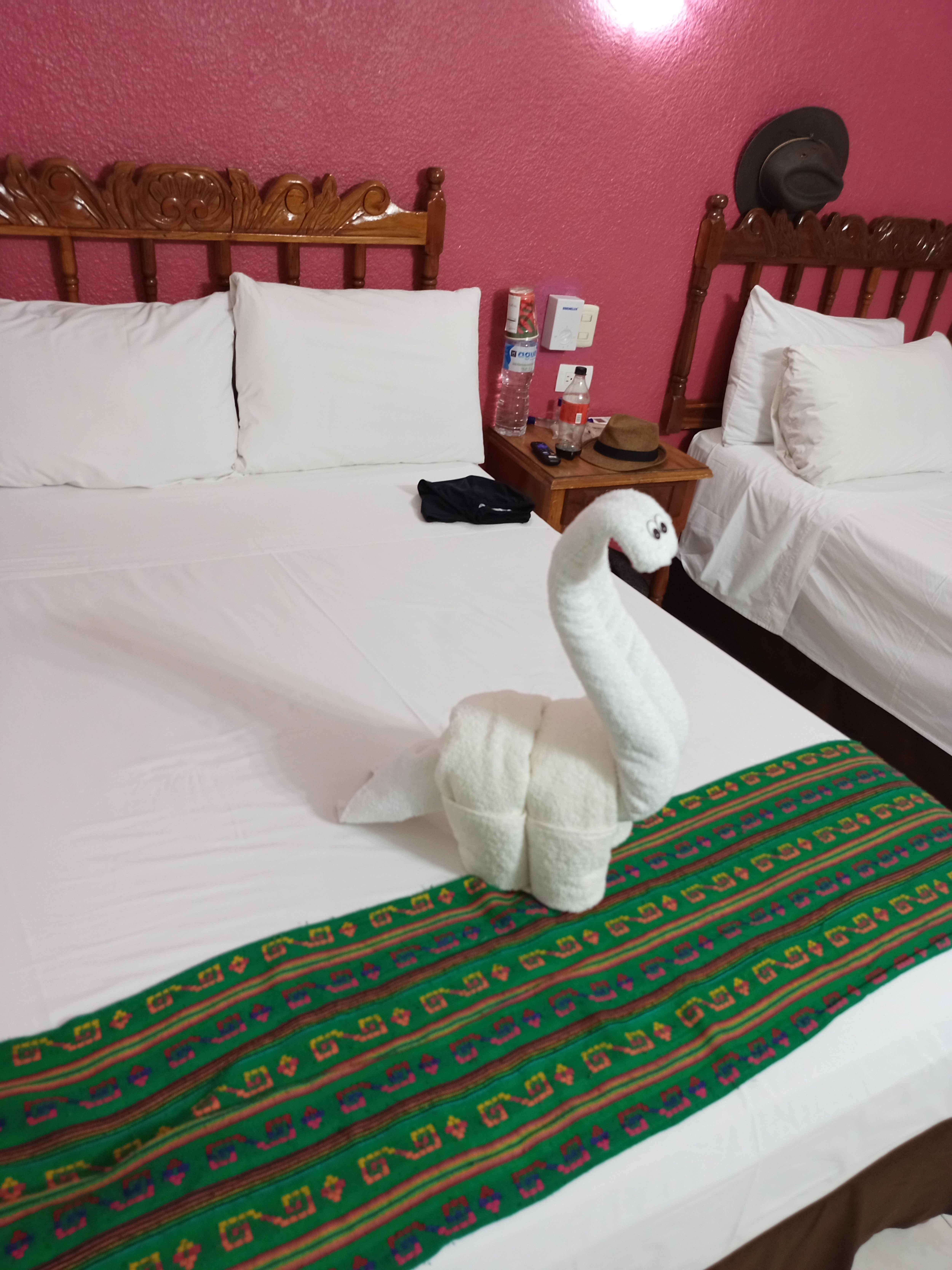 El detalle de la camarista, limpieza y buen gusto para agradar la vista al llegar.