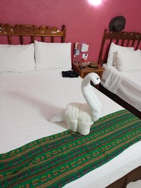 El detalle de la camarista, limpieza y buen gusto para agradar la vista al llegar.