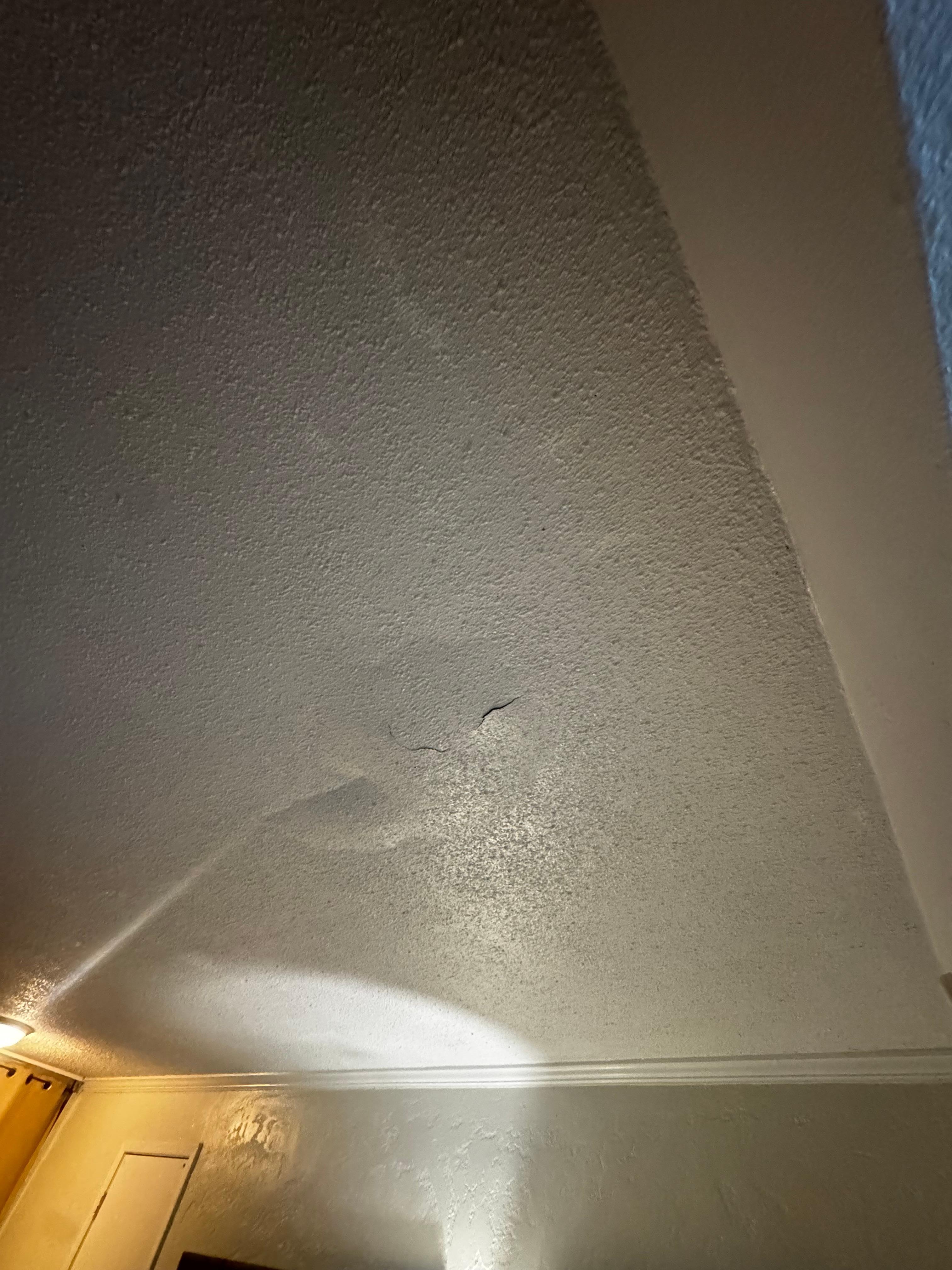 Ceiling above the bed