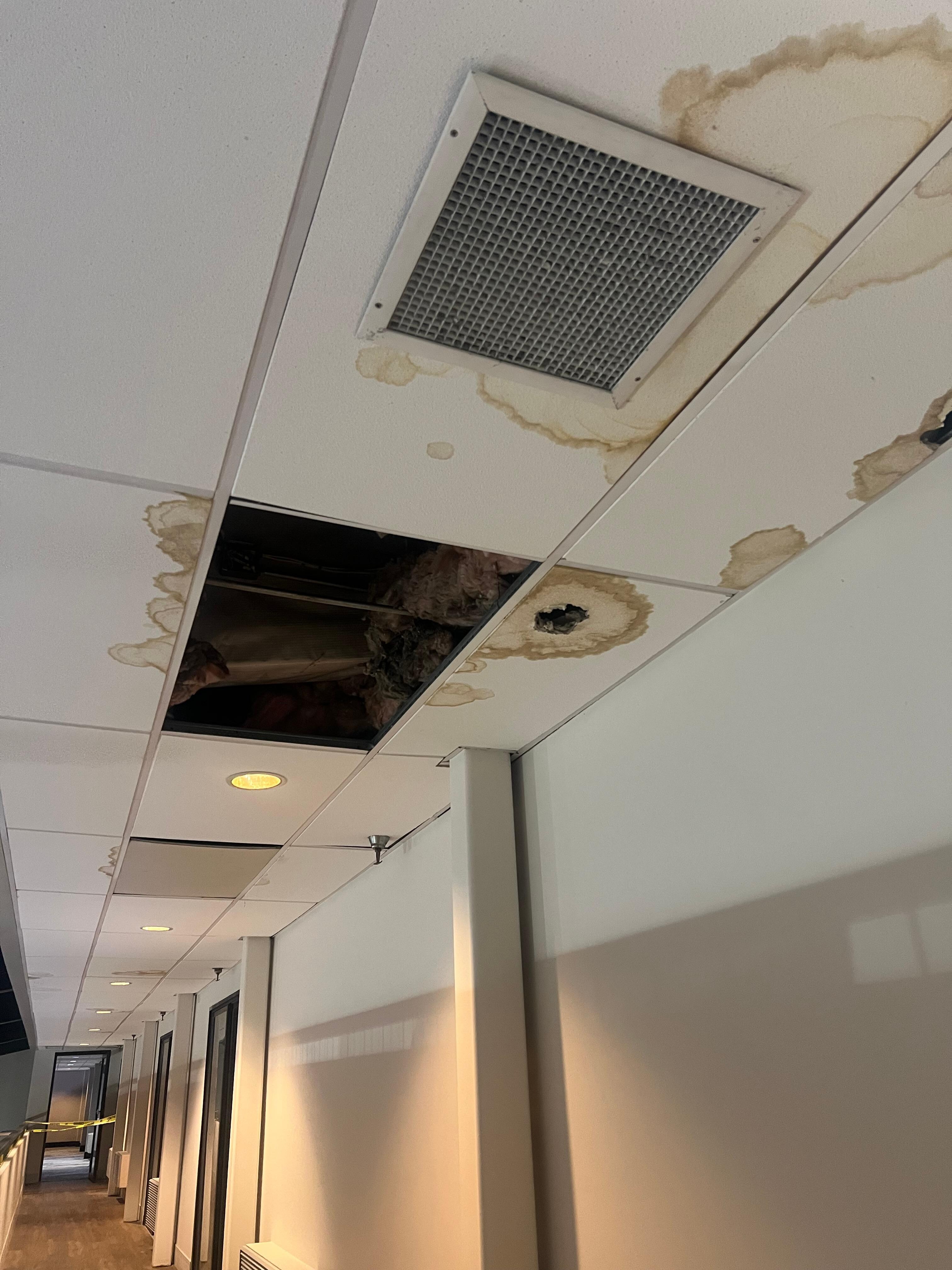Broken and stained ceiling tiles with old damaged insulation 