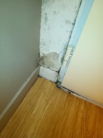 Des moisissures comme ça tout autour de la porte et au plafond