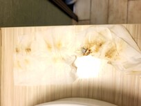 The wipes I cleaned the toilet with