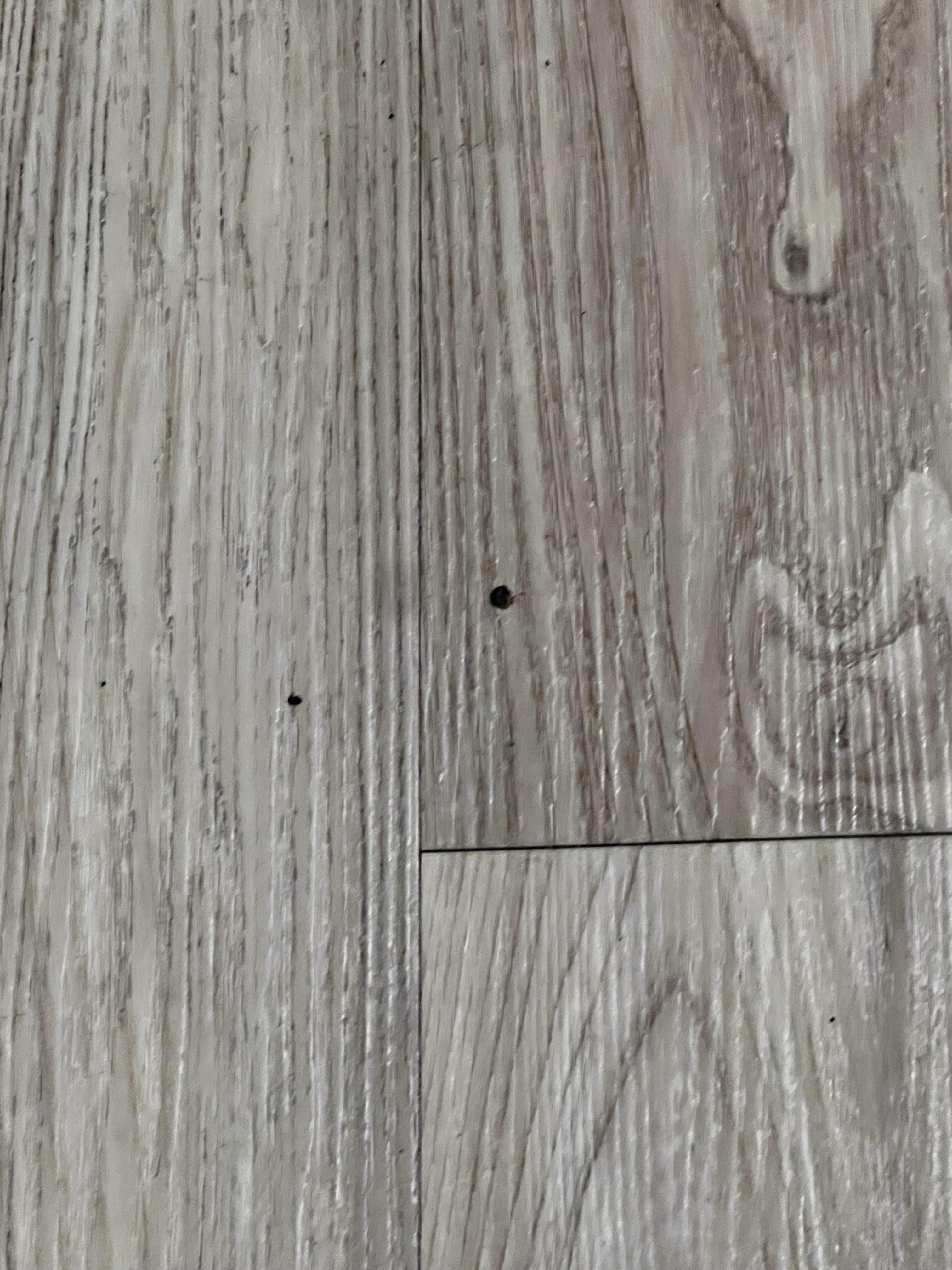 Specs of mud all through the room