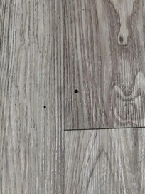 Specs of mud all through the room