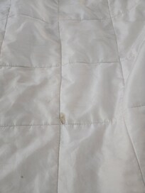stains on the bed cover