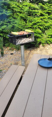 this sites bbq grill and picnic table