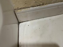 The bathroom floor had ash, dirt and hair from previous occupants