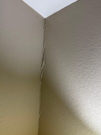 The walls were peeling everywhere