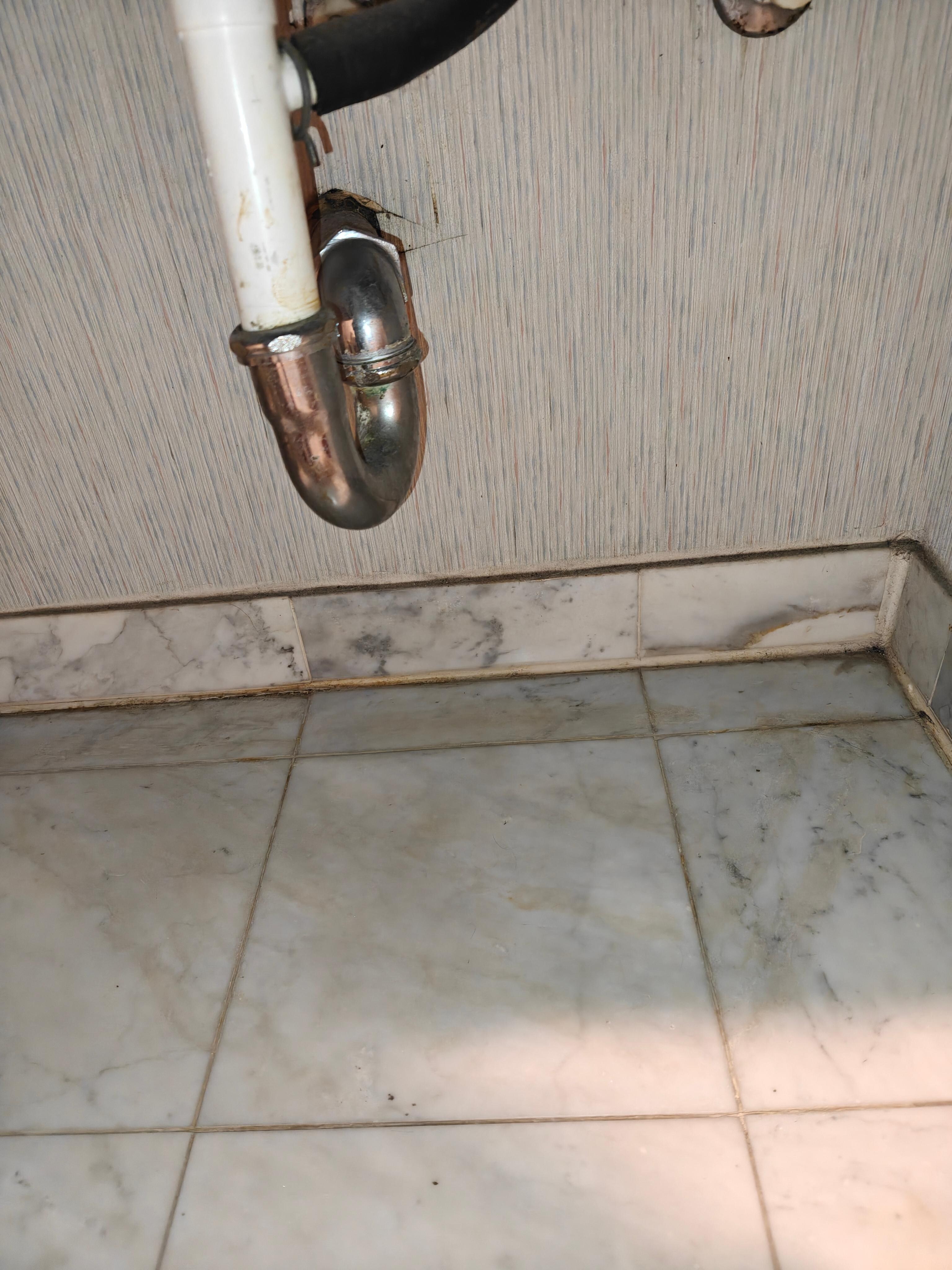 Under bathroom sink