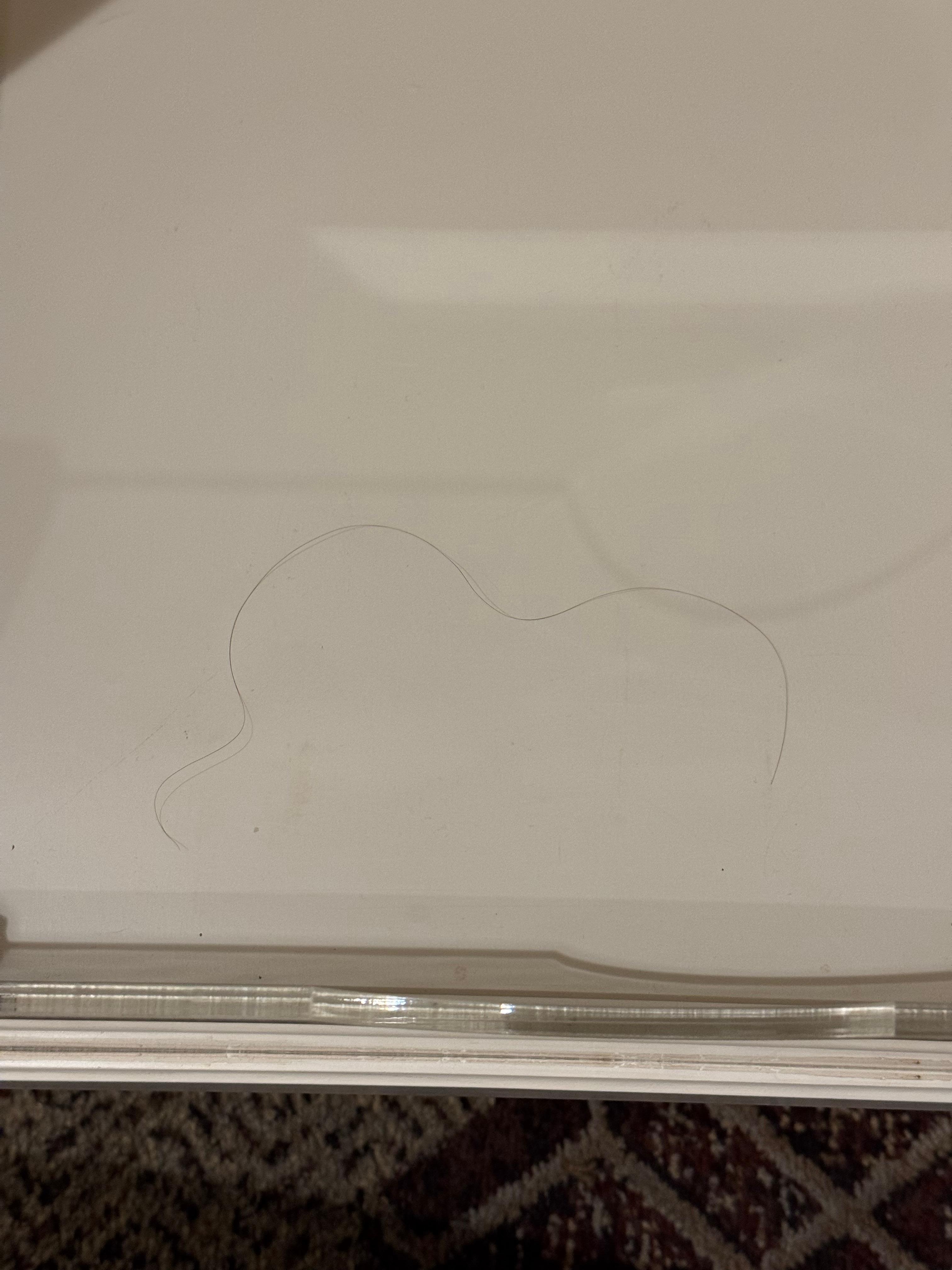 More hair found in the bathroom.