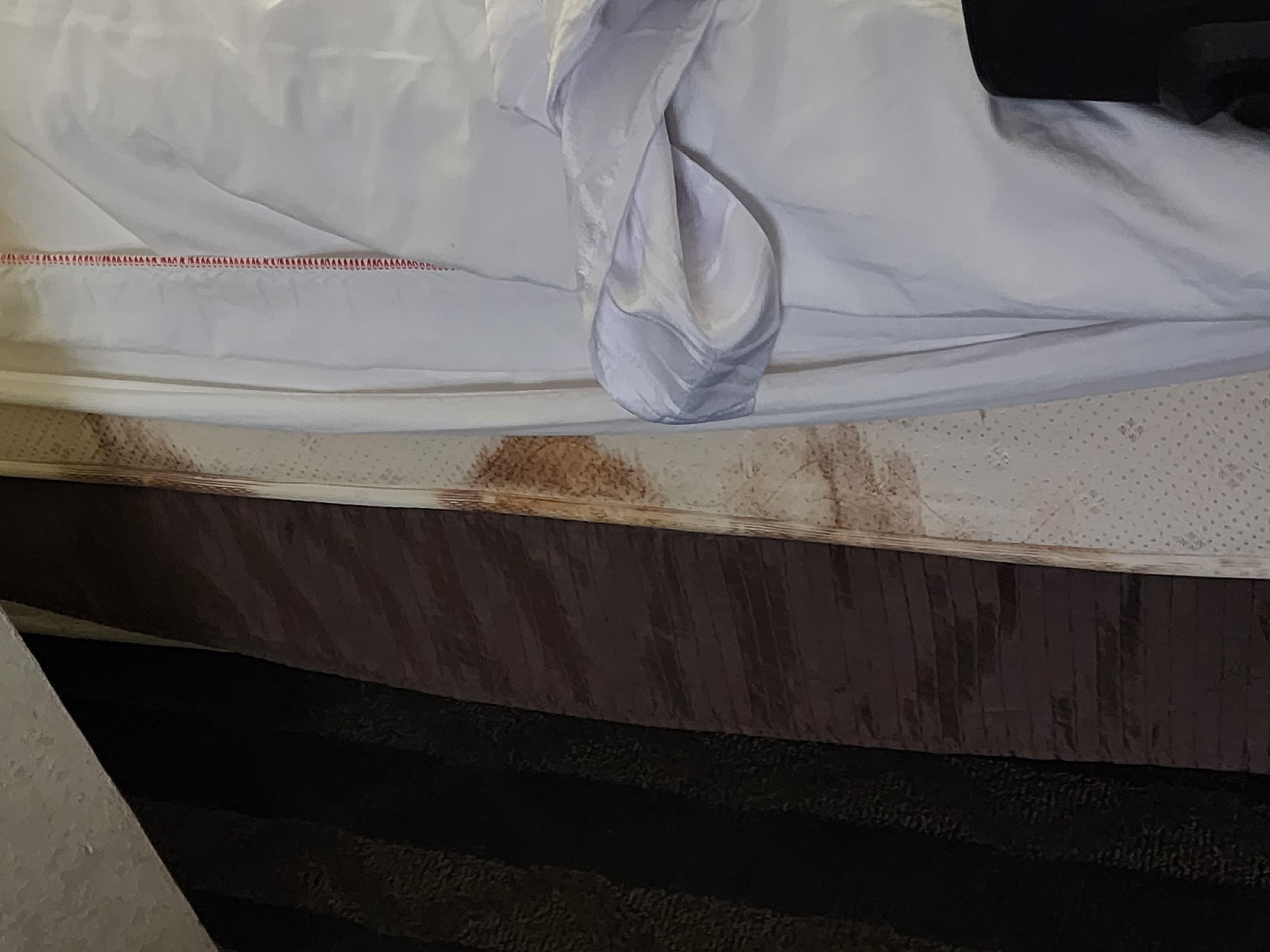 Blood marks on the mattress discovered when leaving, absolutely unacceptable cleanliness that needs to be addressed 