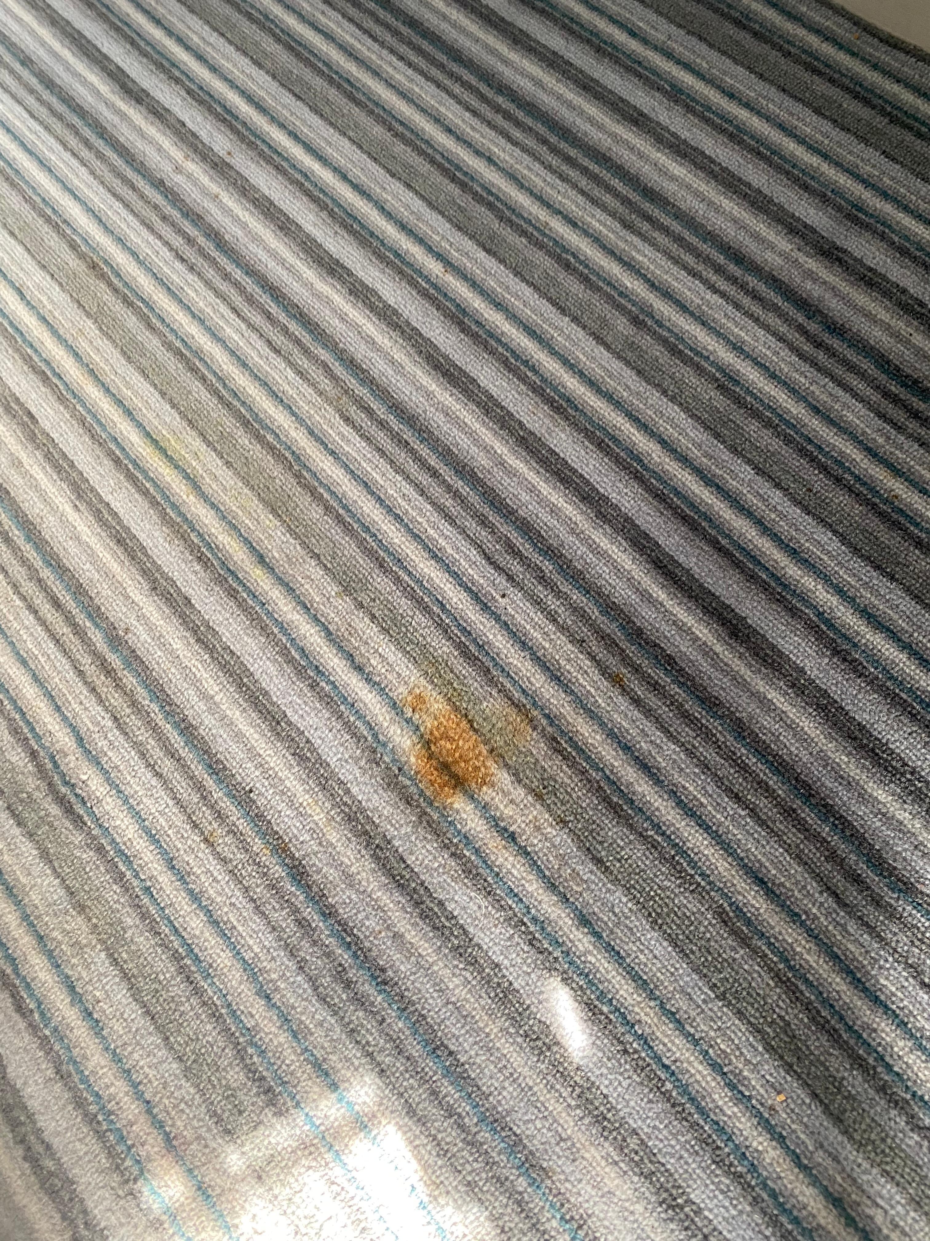 Stained carpet
