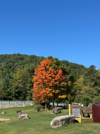 Fall color starting to pop ( Quaker Lake)