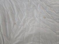 Stains on the bed cover