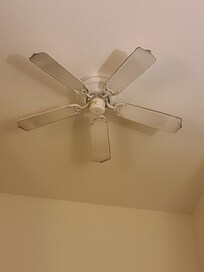 Filthy ceiling fan