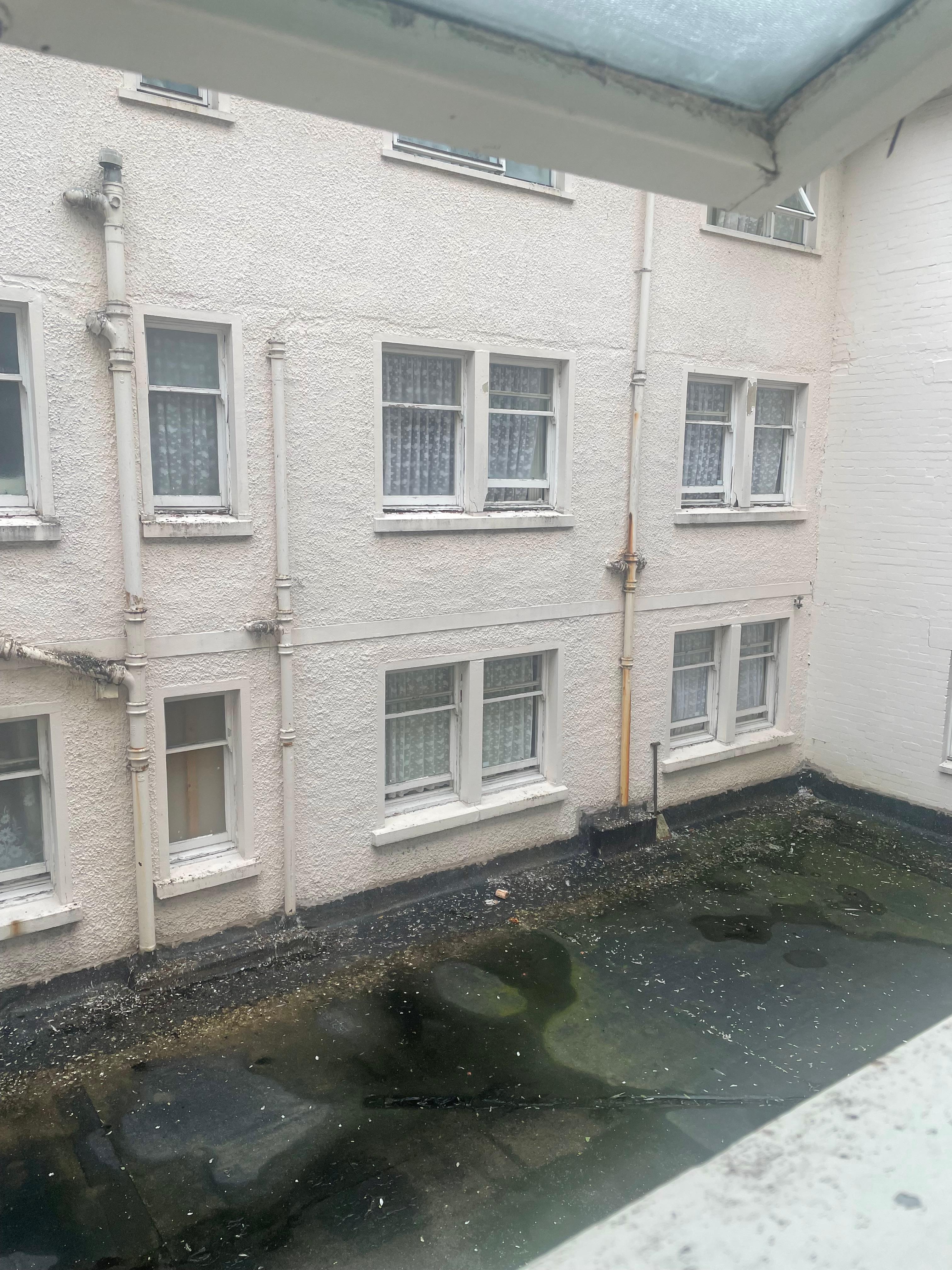 Our outlook with pigeon droppings and feathers everywhere.