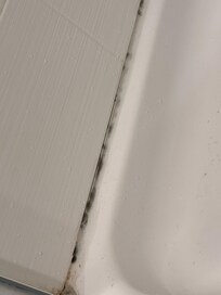 Mold in shower