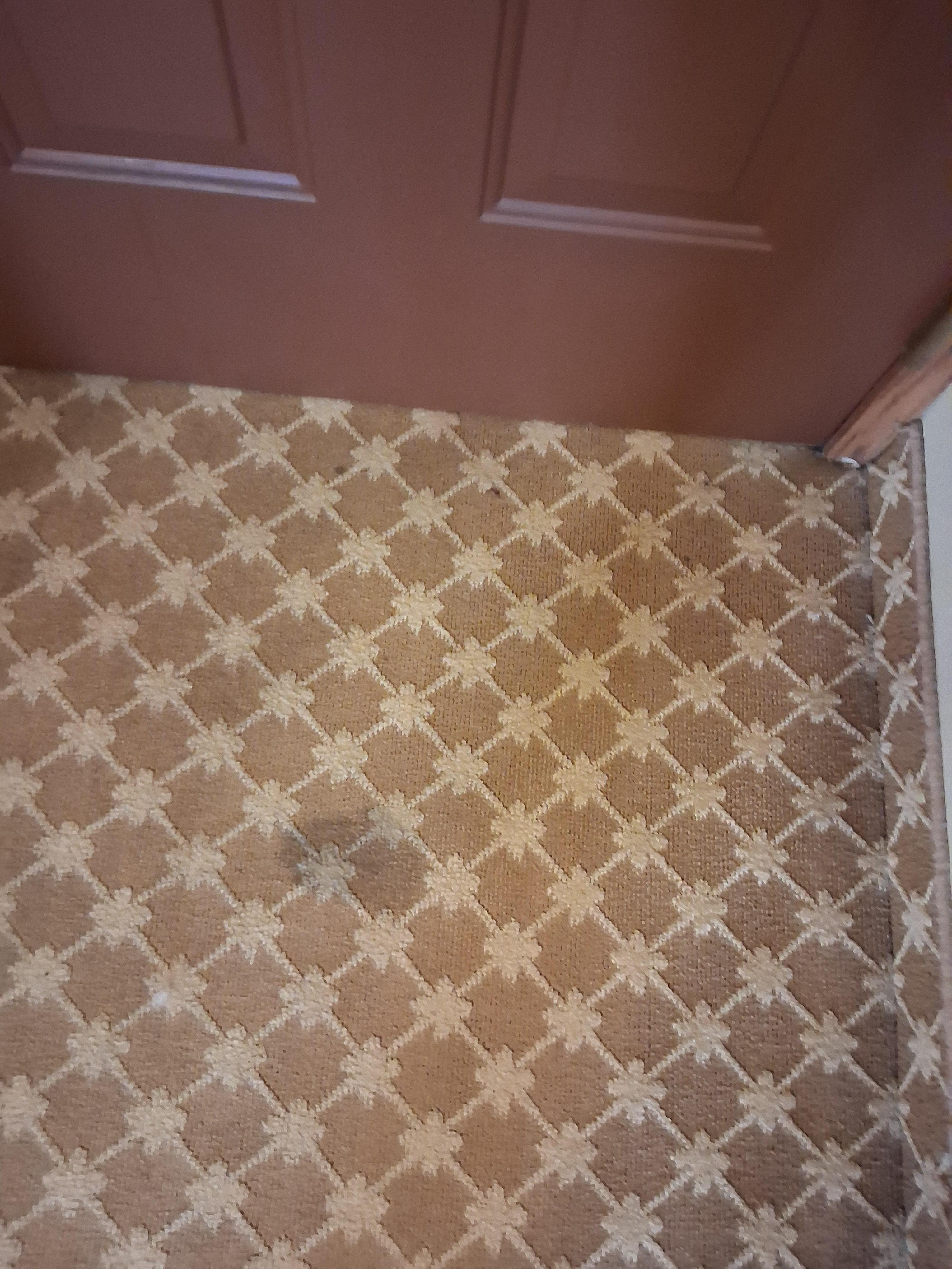 carpet stain by door