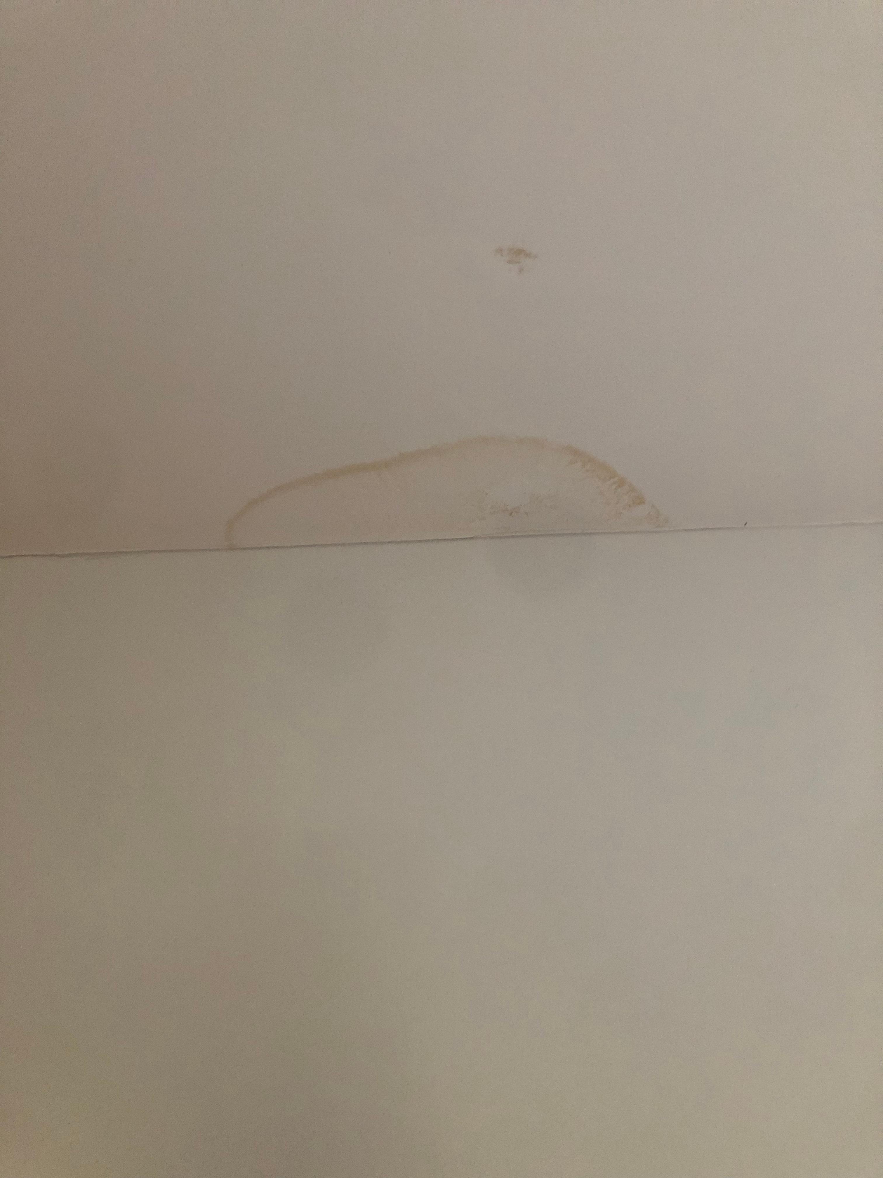 Water stained ceiling 