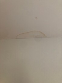 Water stained ceiling