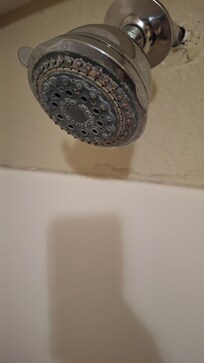 Dirty shower head