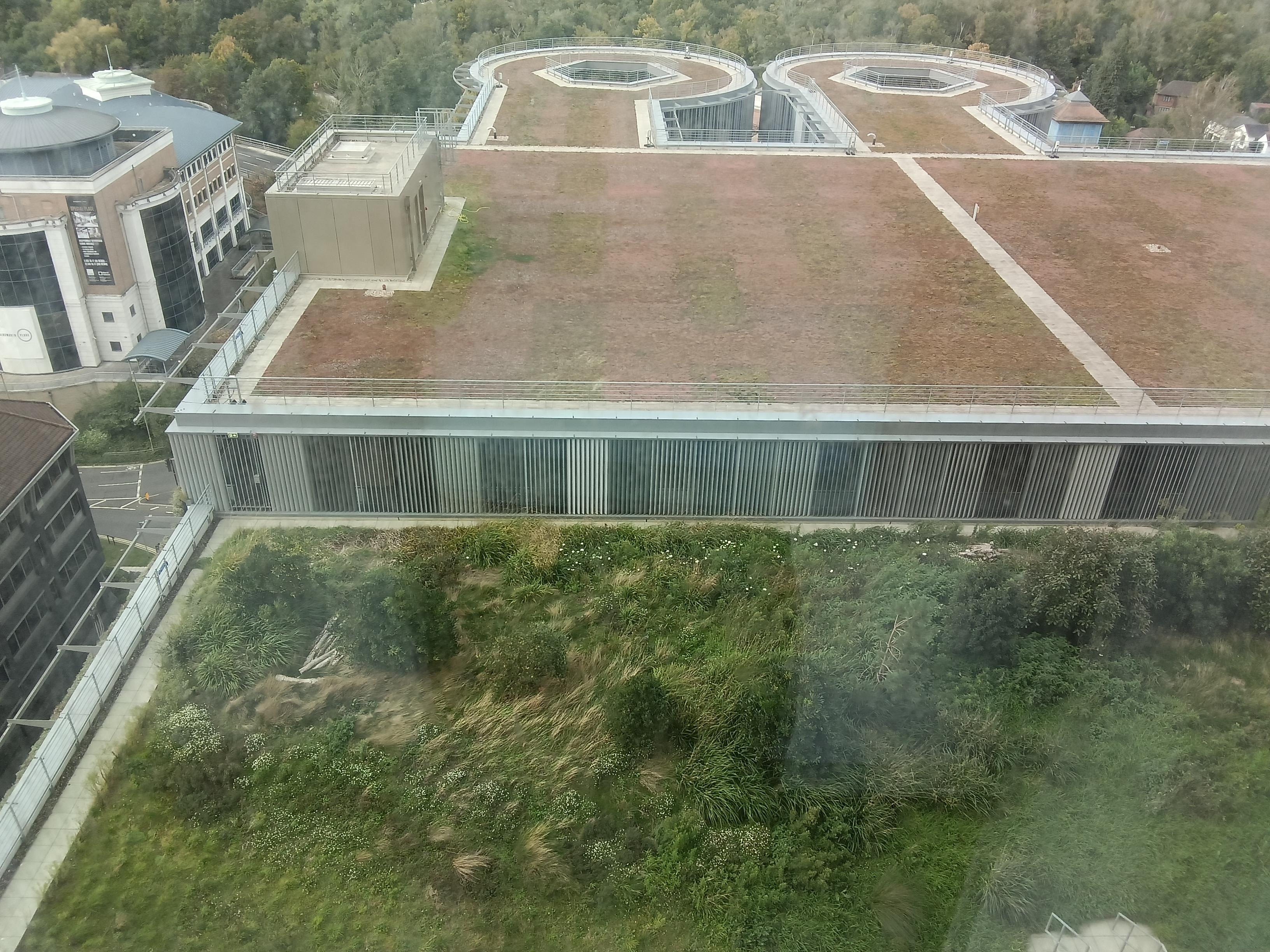 No stress for us to rest