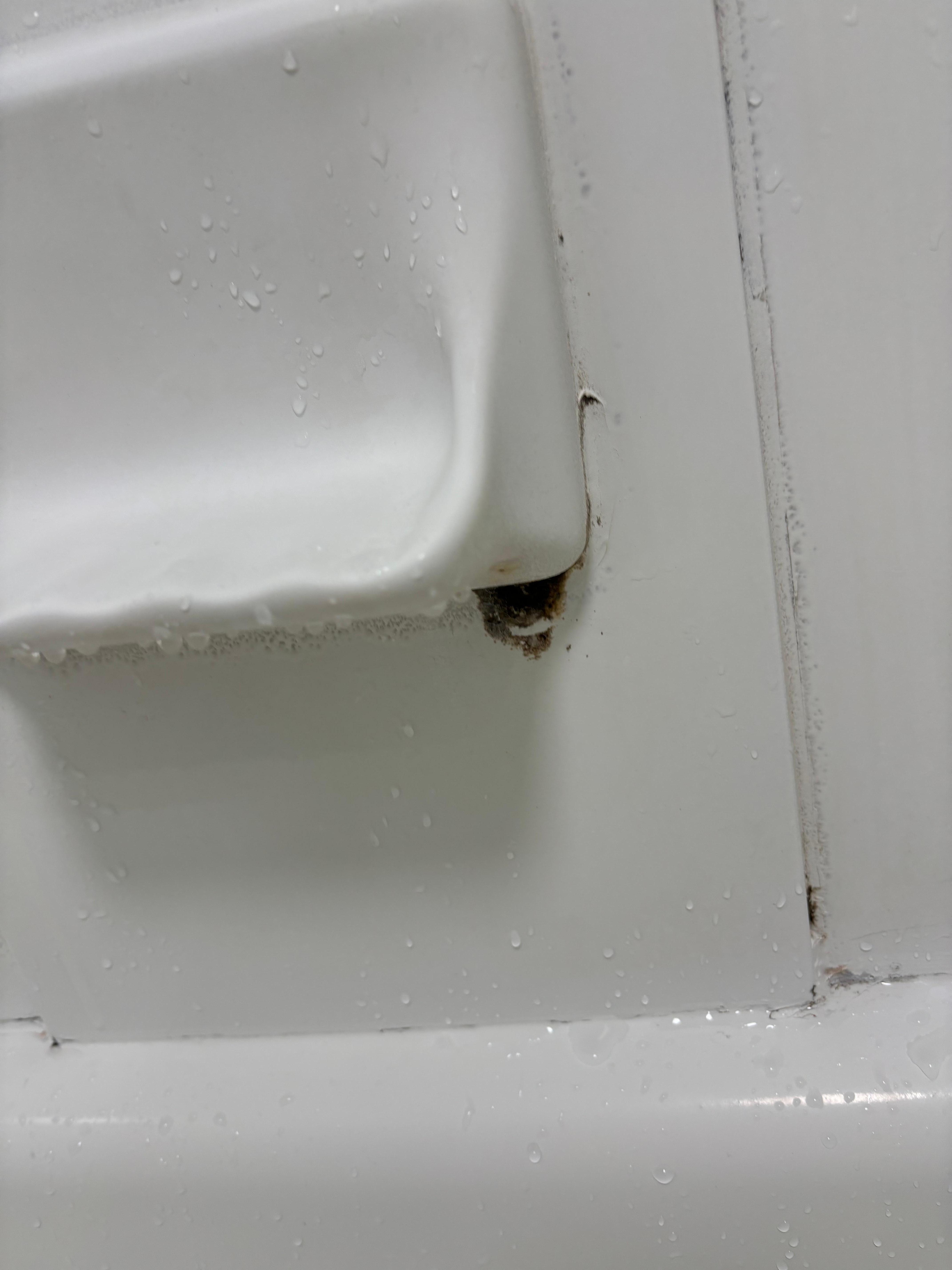 Mold in tub under soap holder. 