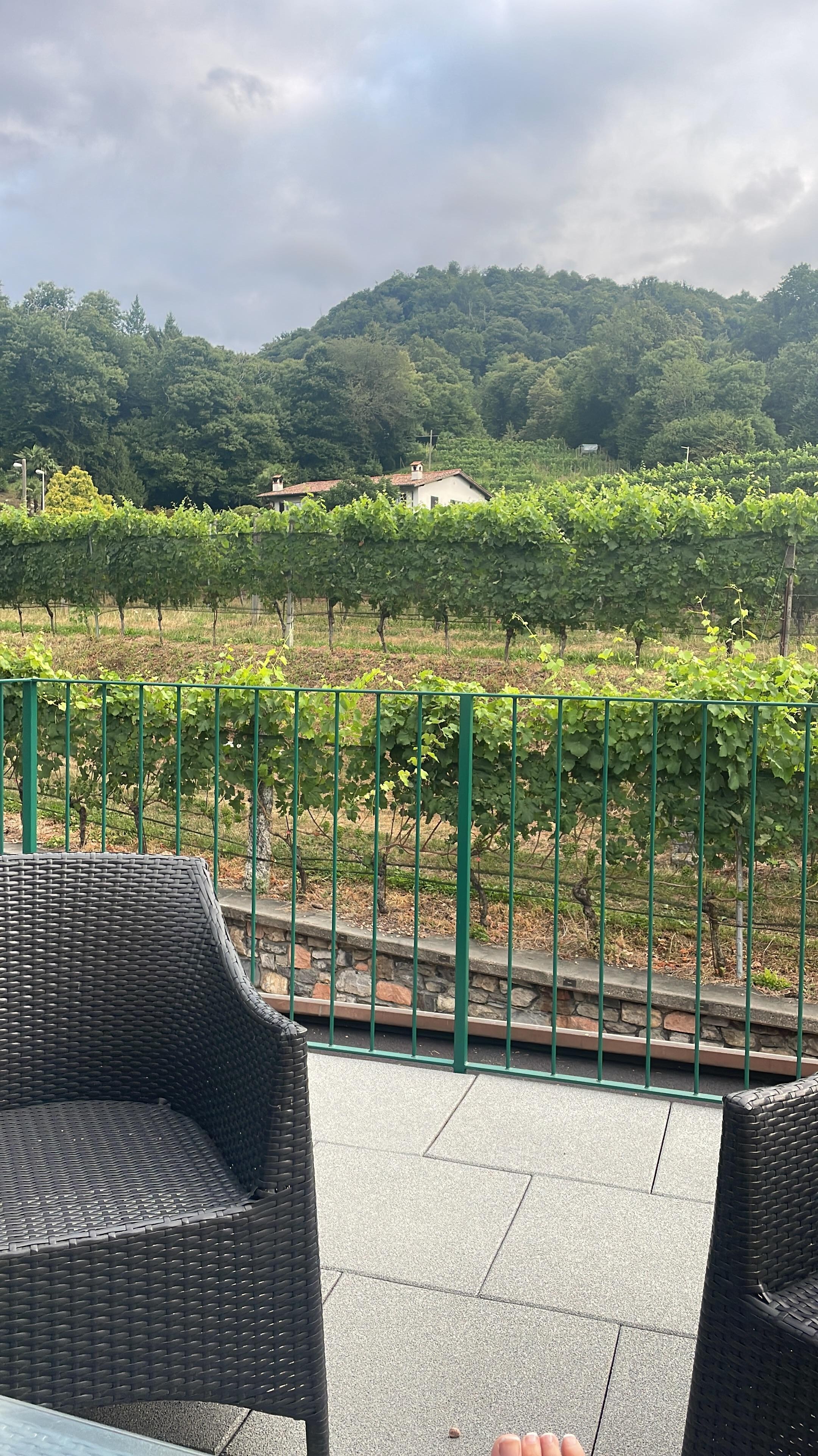 View from our terrace 