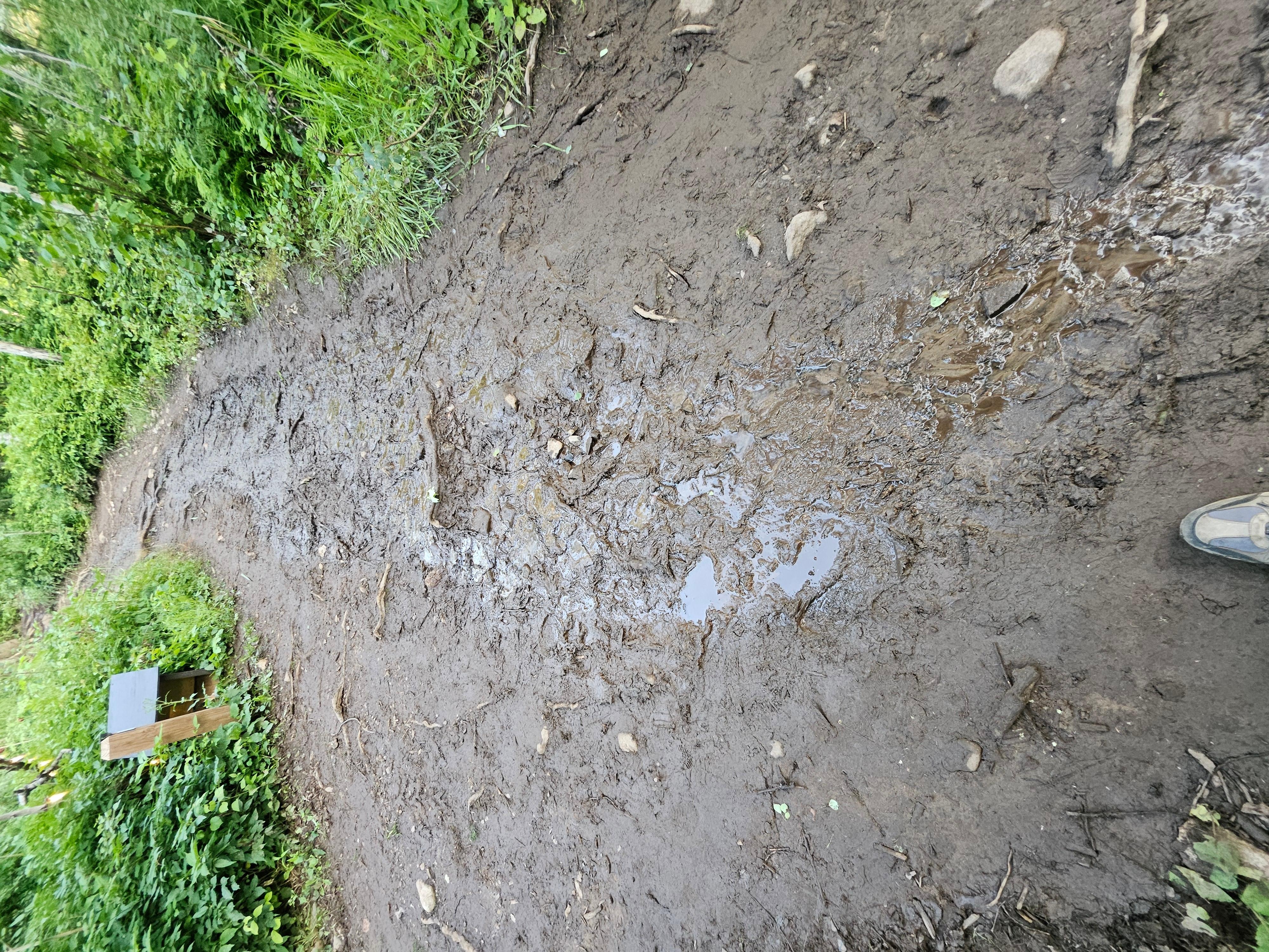 The mud is worse after dark when you can't see it & are making your way to the loo.