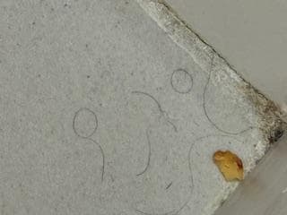 Floor debris/dirt - hairs and peanut