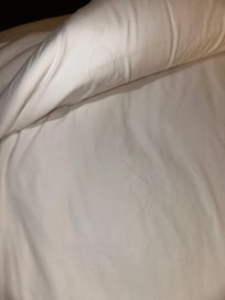 Hair on the bed sheet the second room
