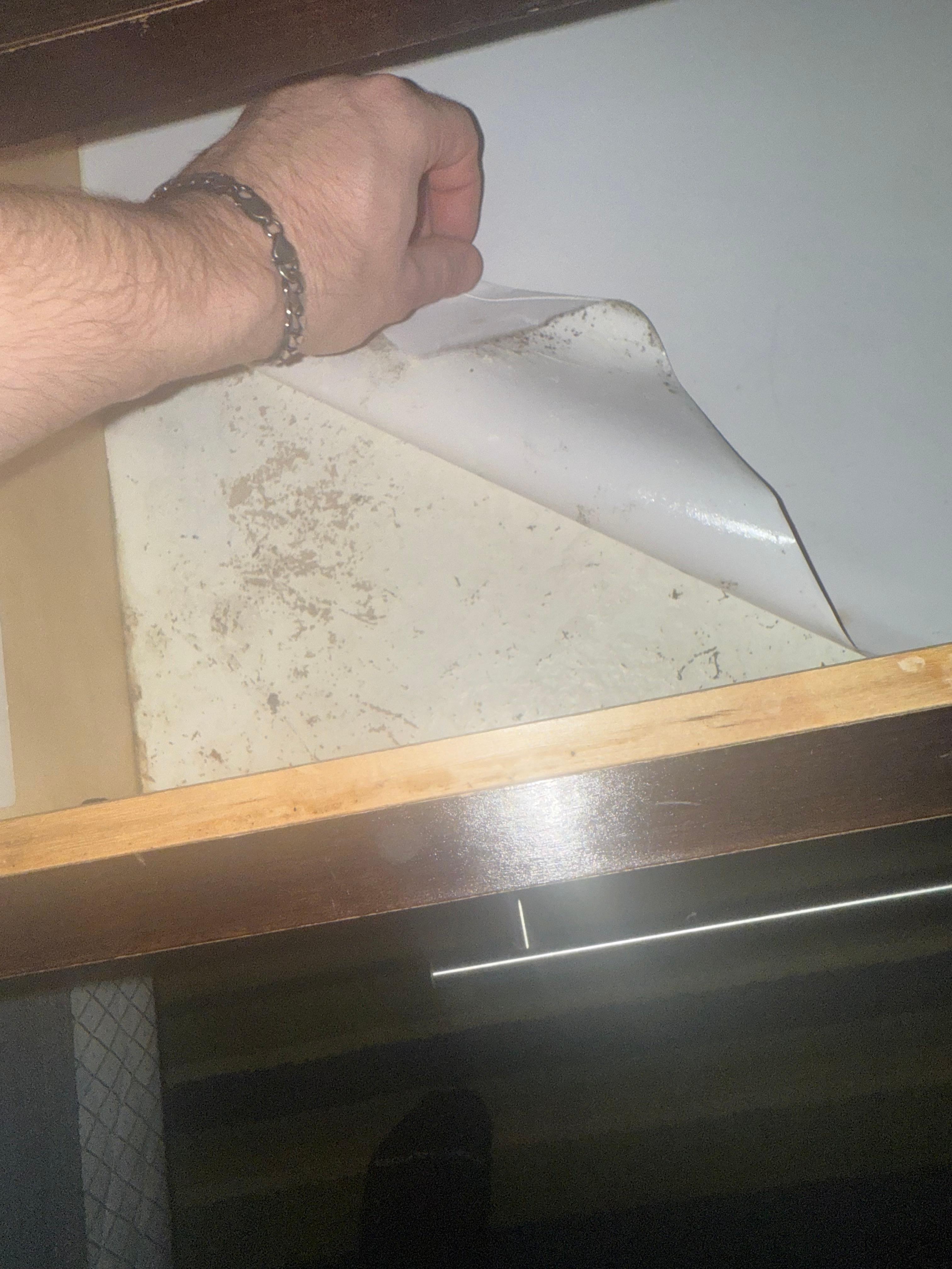 Mold under cabinet liner that was already folded back/ peeled away