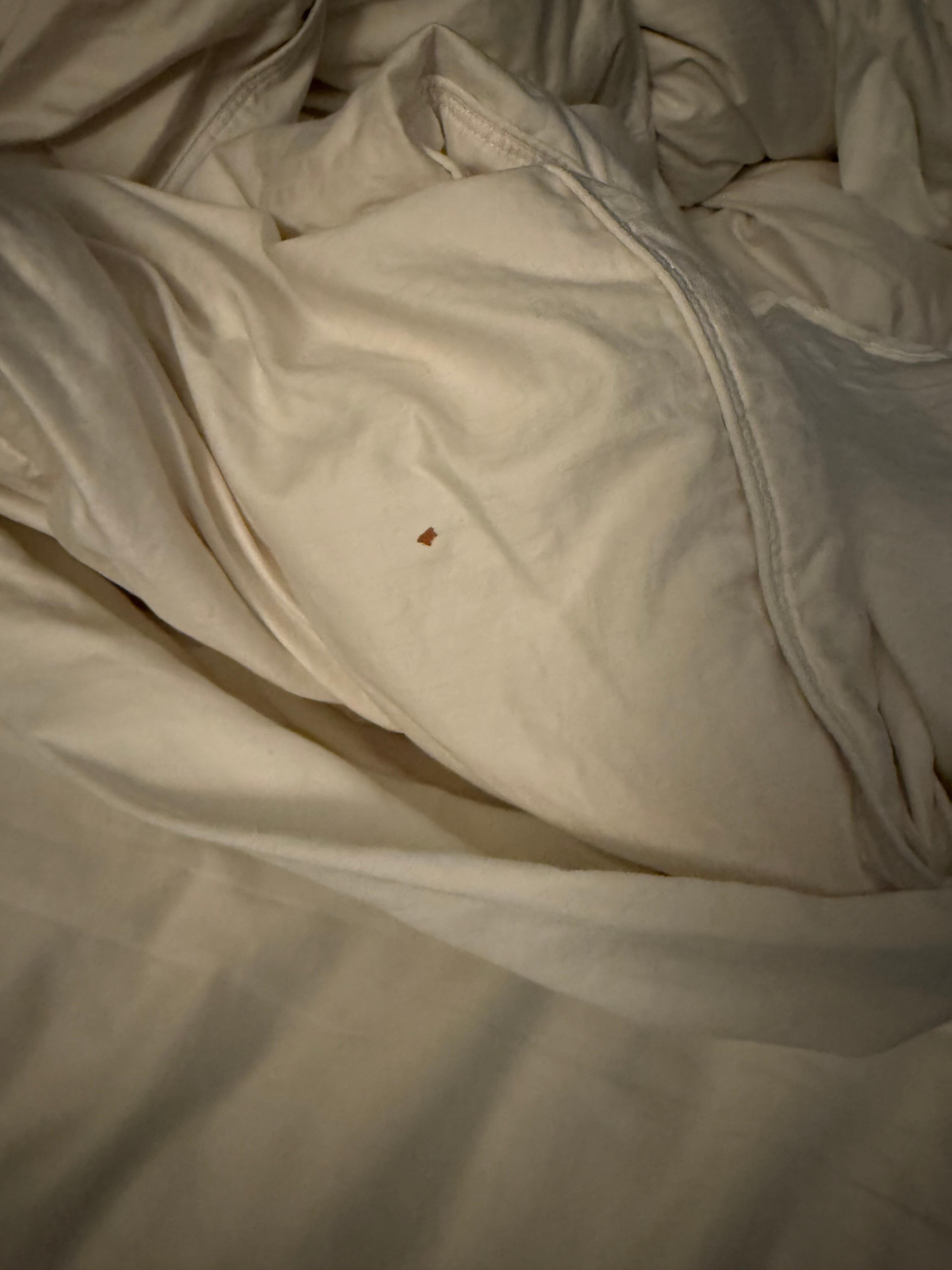 Blood on the comforter