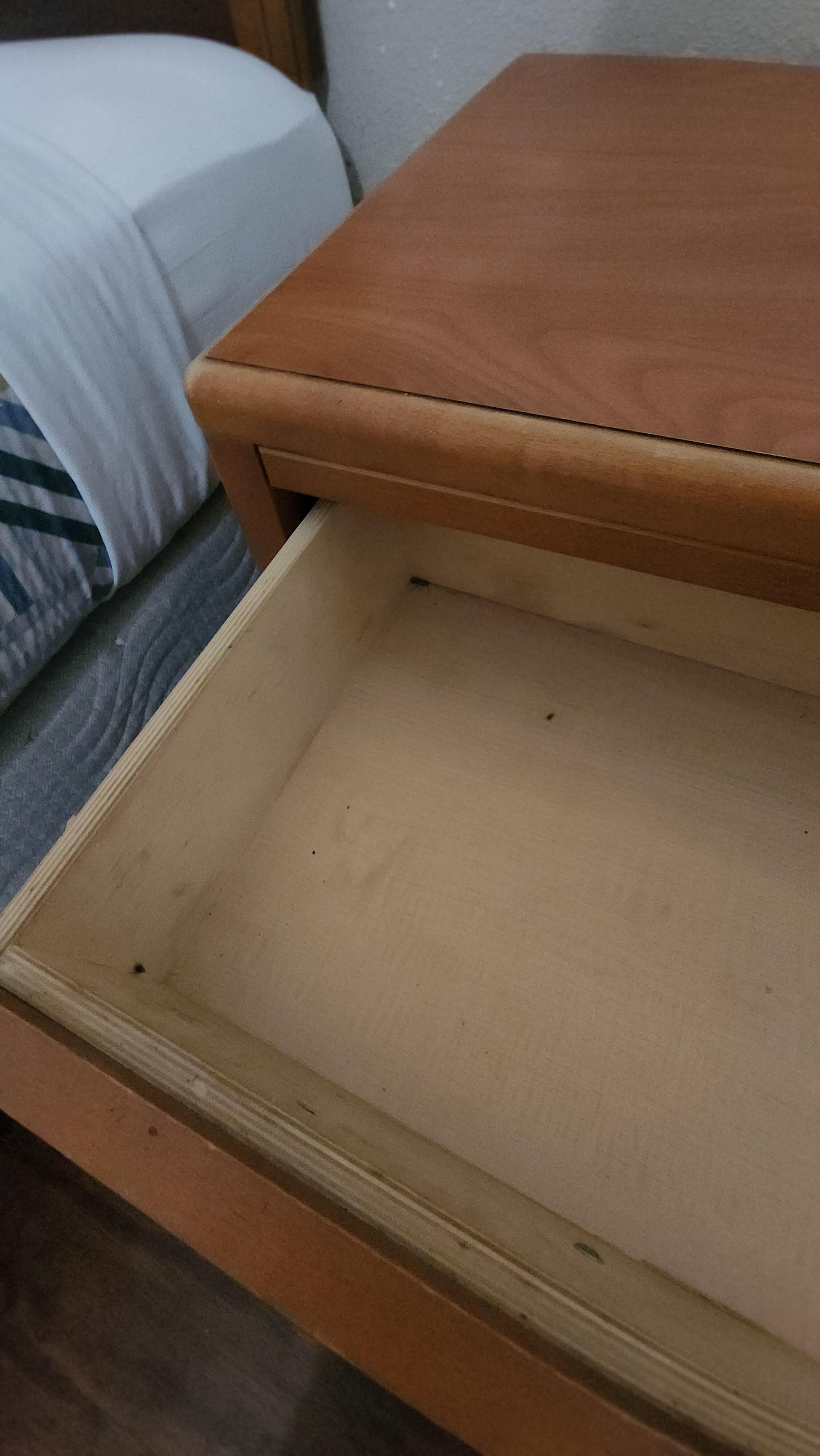 Roaches in the night stand