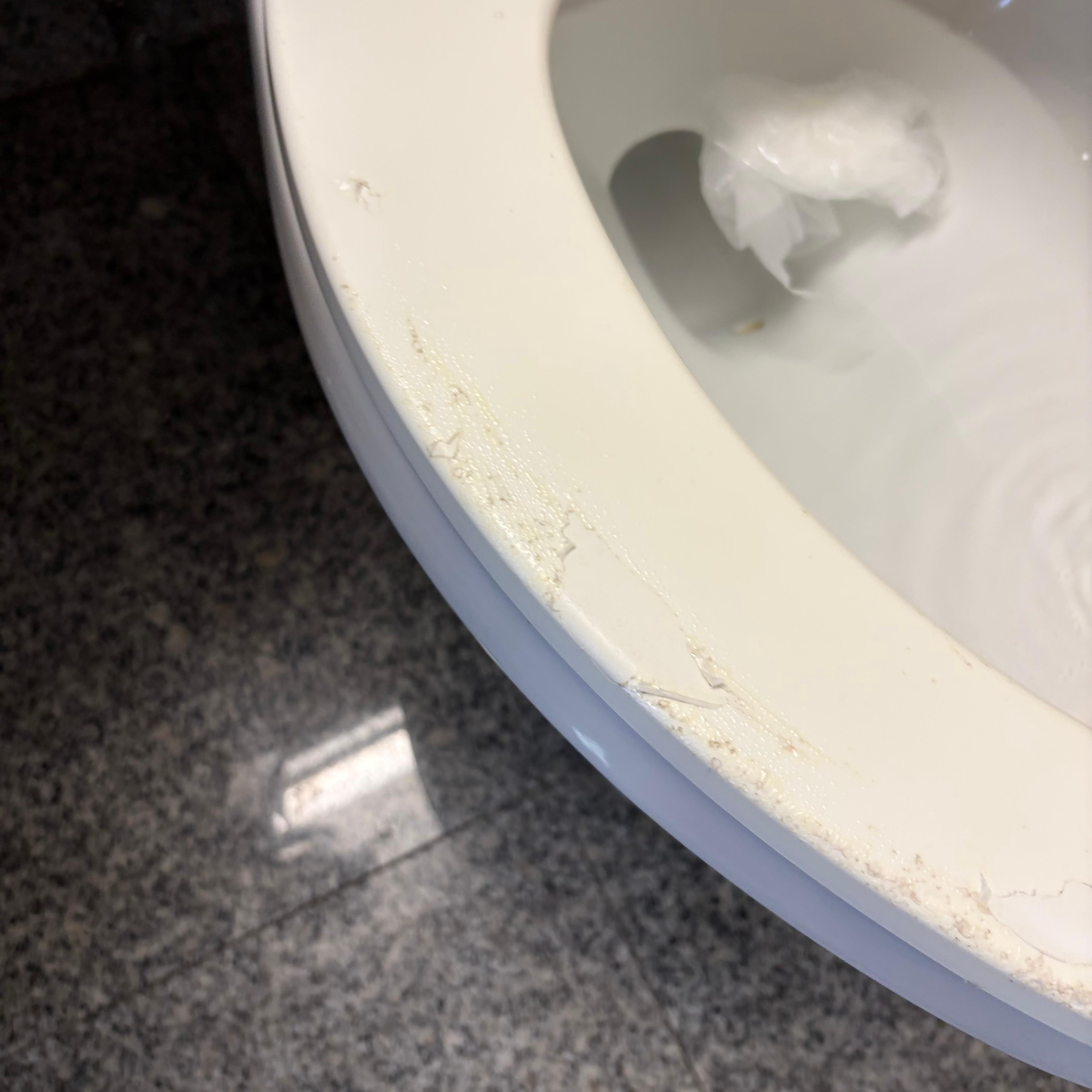 The toilet seat had a lot of damage