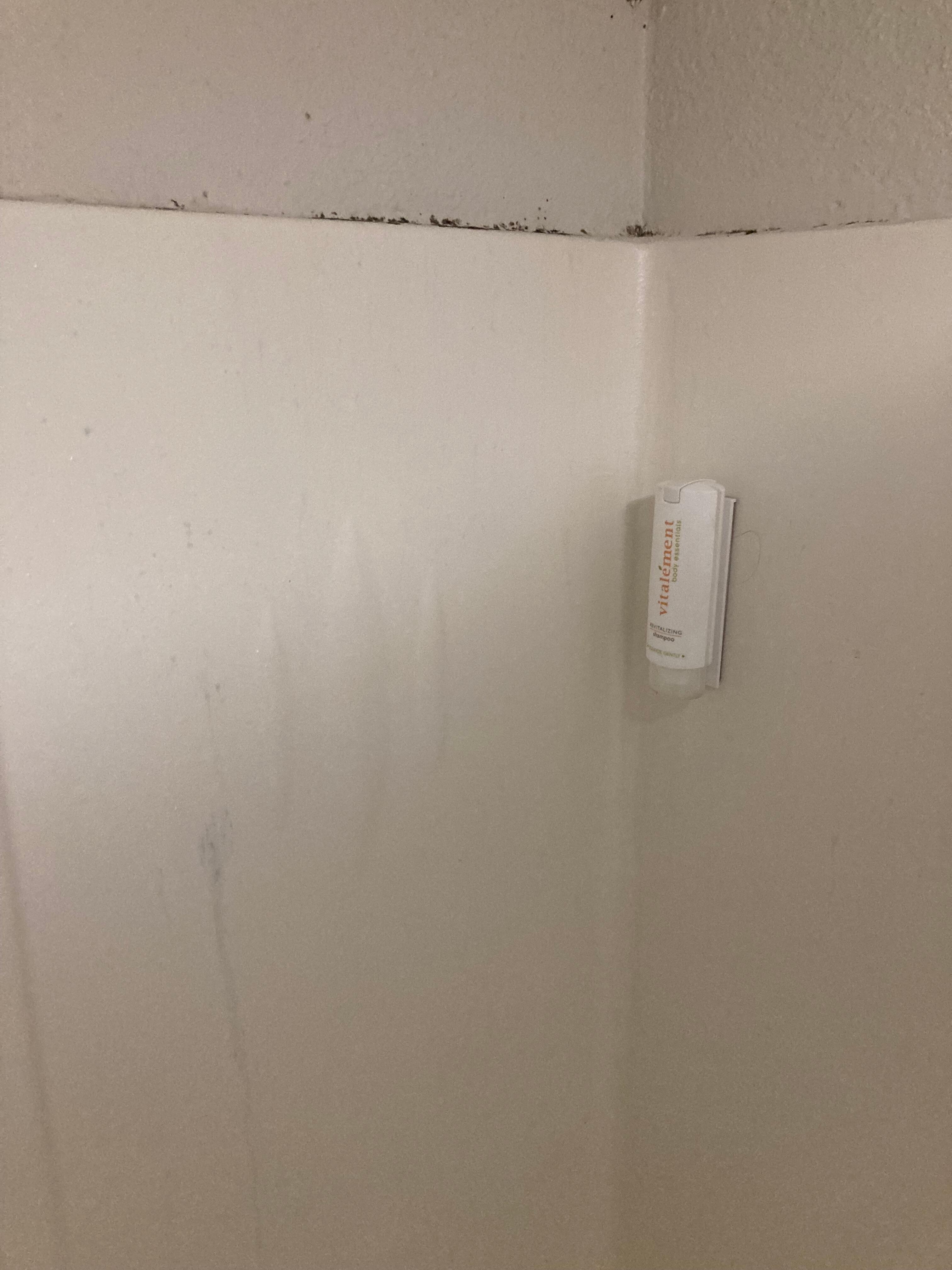 Mold in shower