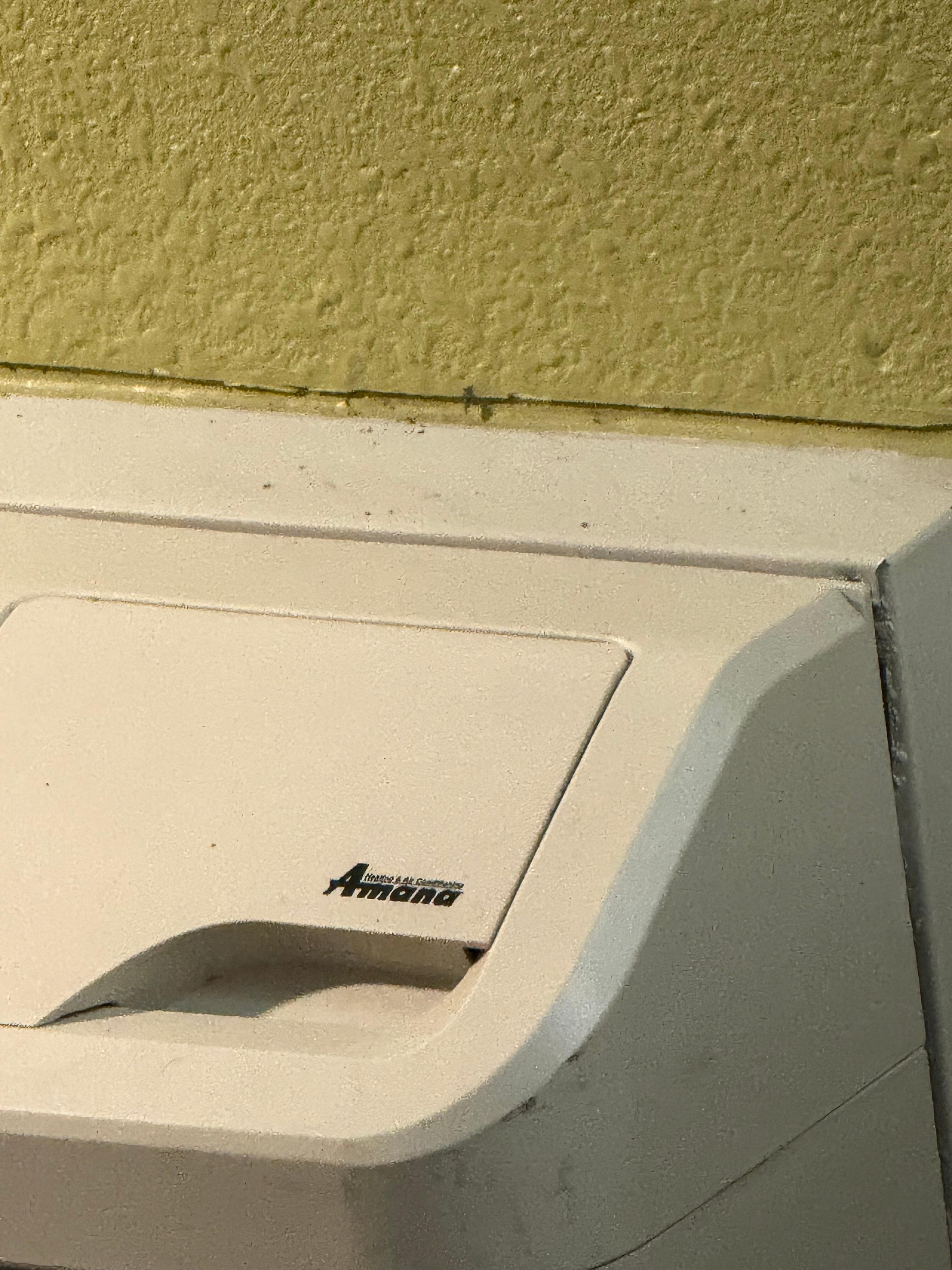 Ants in unit