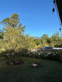 Vue sur le volcan bâti depuis le restaurant